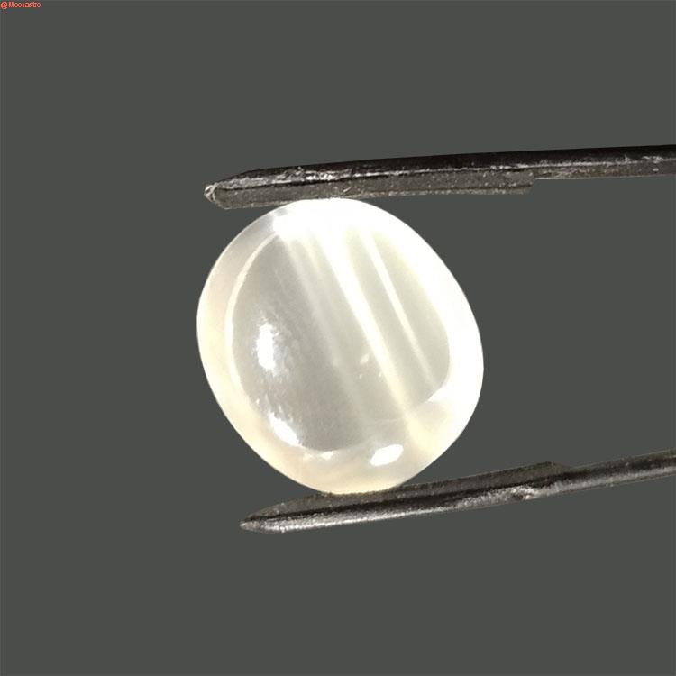 Buy Moon Stone ( Ceylon ) Premium online