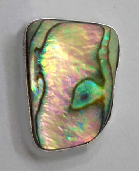 Buy online Shell_Stone